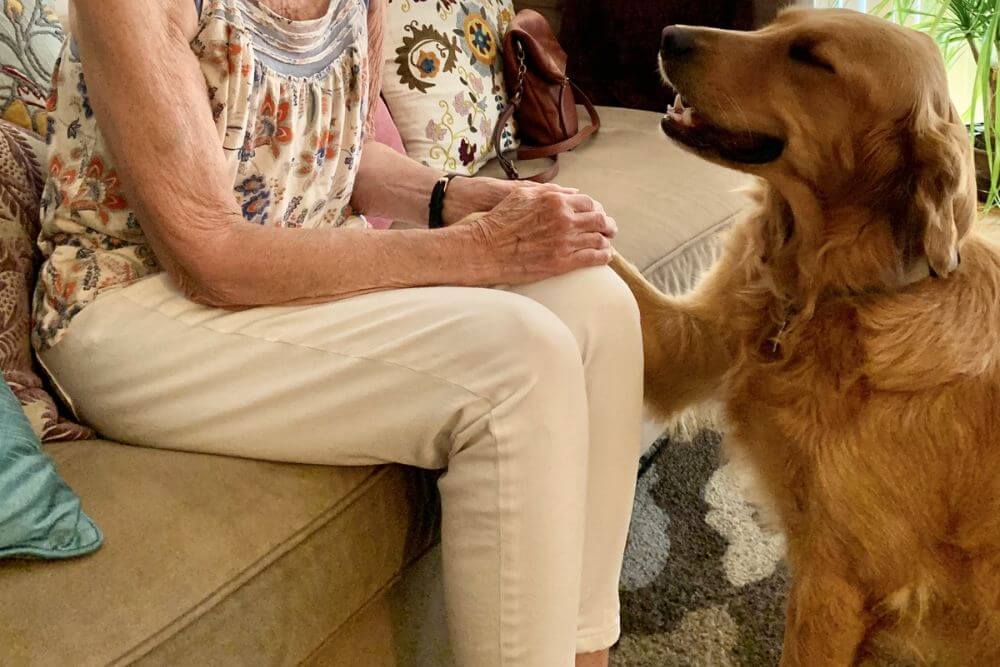 Evanston Counseling's Therapeutic Approaches | 60201 - Evanston Counseling